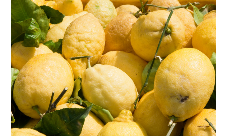 Världens finaste citroner